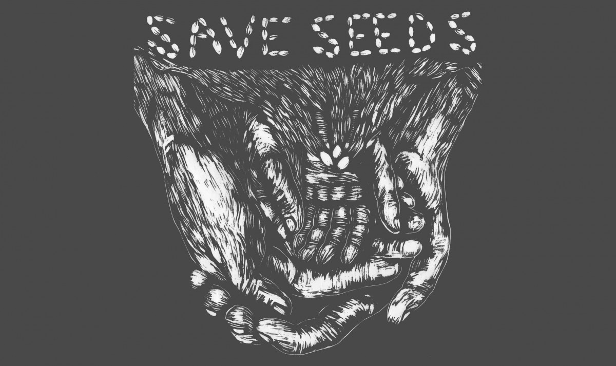 Seeds Are Our Lifeline to Future Generations | Geez Magazine