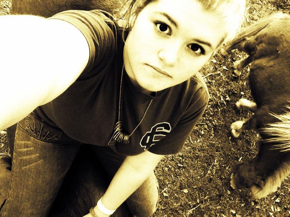 Index of /images/submissions